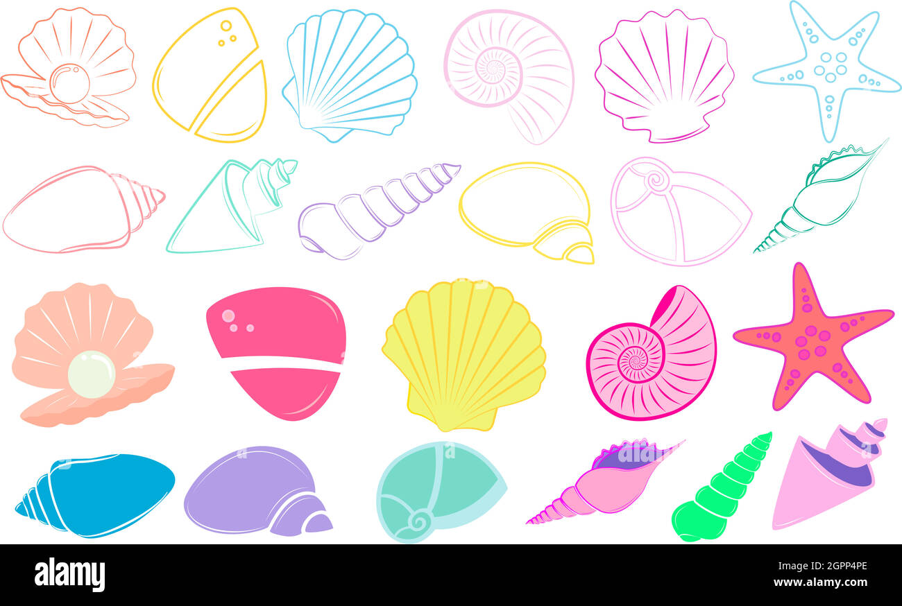 sea shells vector Stock Vector Image & Art - Alamy