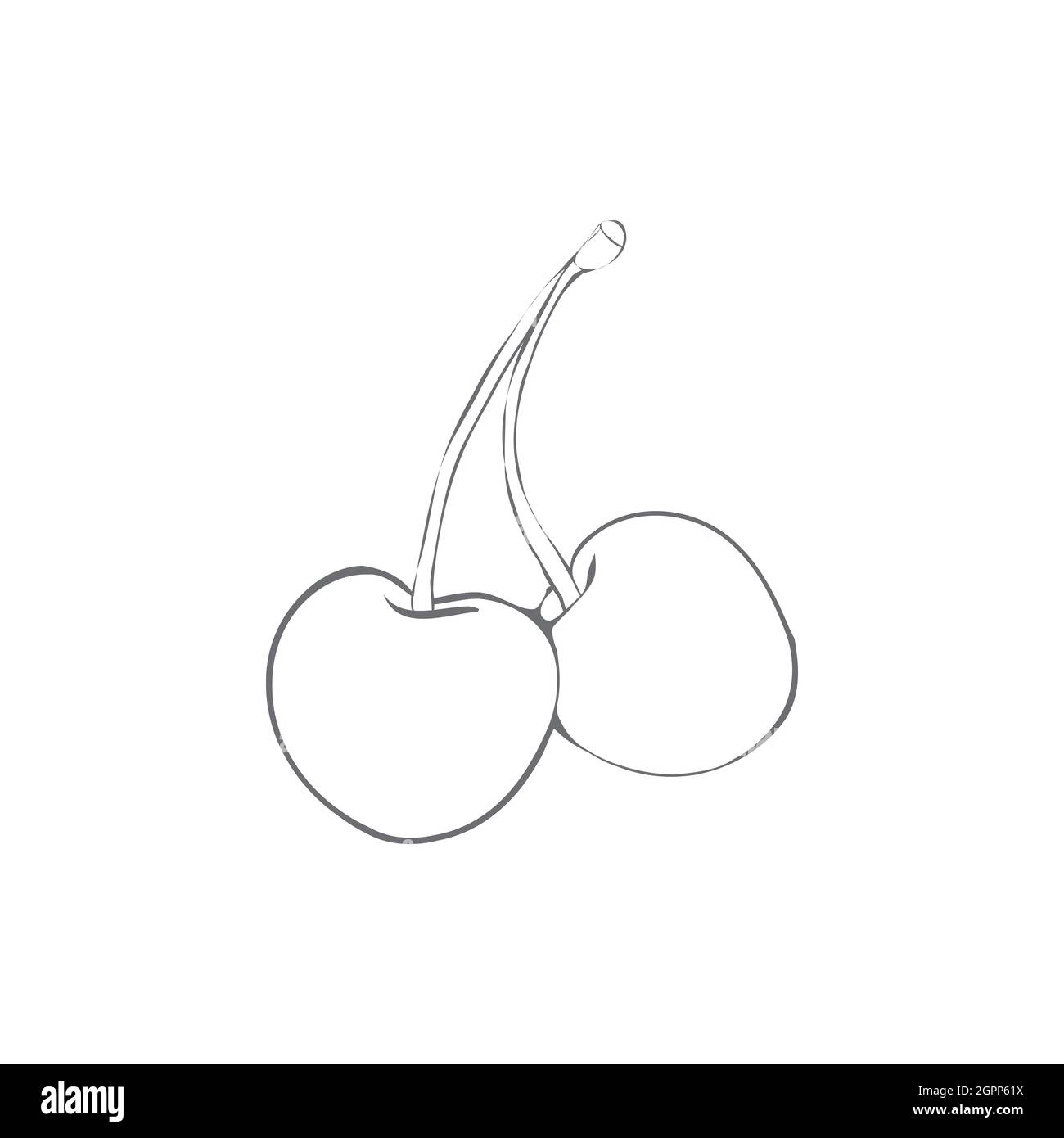 Cherry vector drawing. Isolated hand drawn two berries on white ...