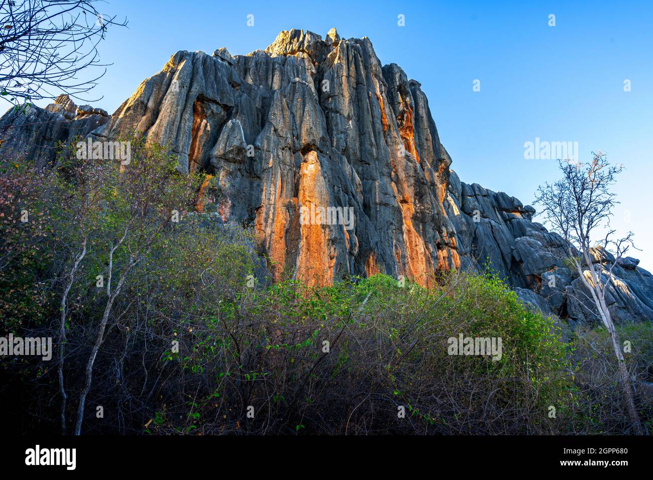 Limestone outcrop at Royal Arch Cave, Chillagoe-Mungana Caves National ...