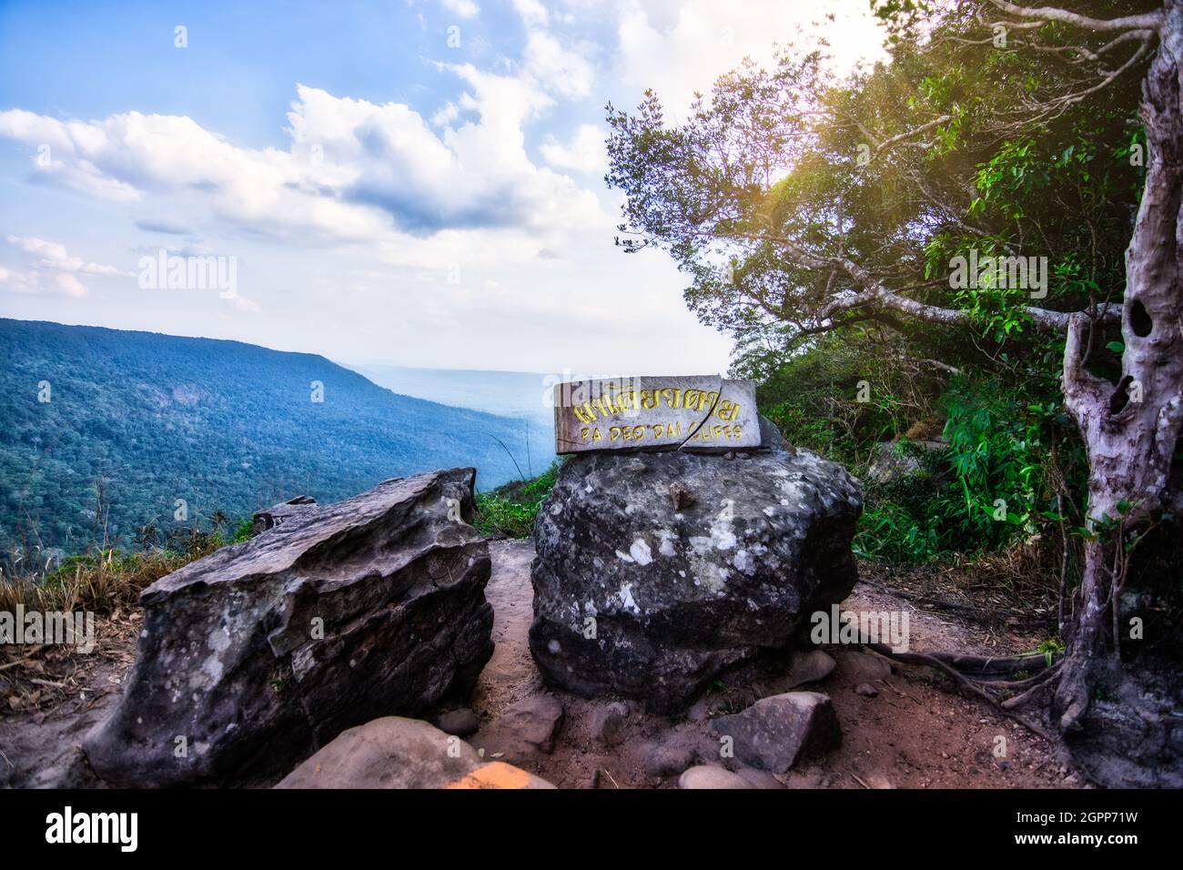nature and forest Stock Photo - Alamy