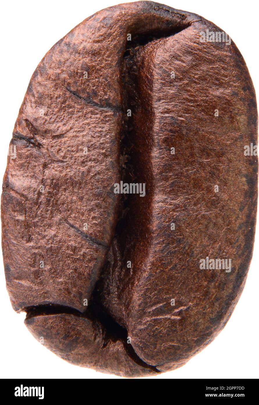 Close-up shot coffee beans on a white background Stock Photo - Alamy