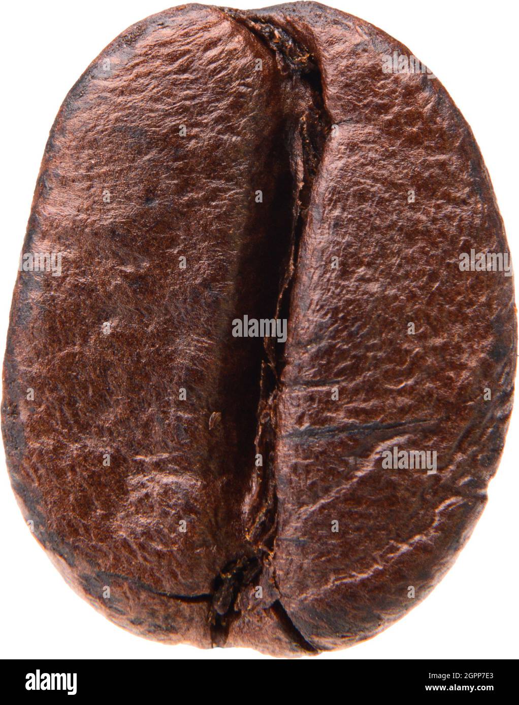 Close-up shot coffee beans on a white background Stock Photo - Alamy
