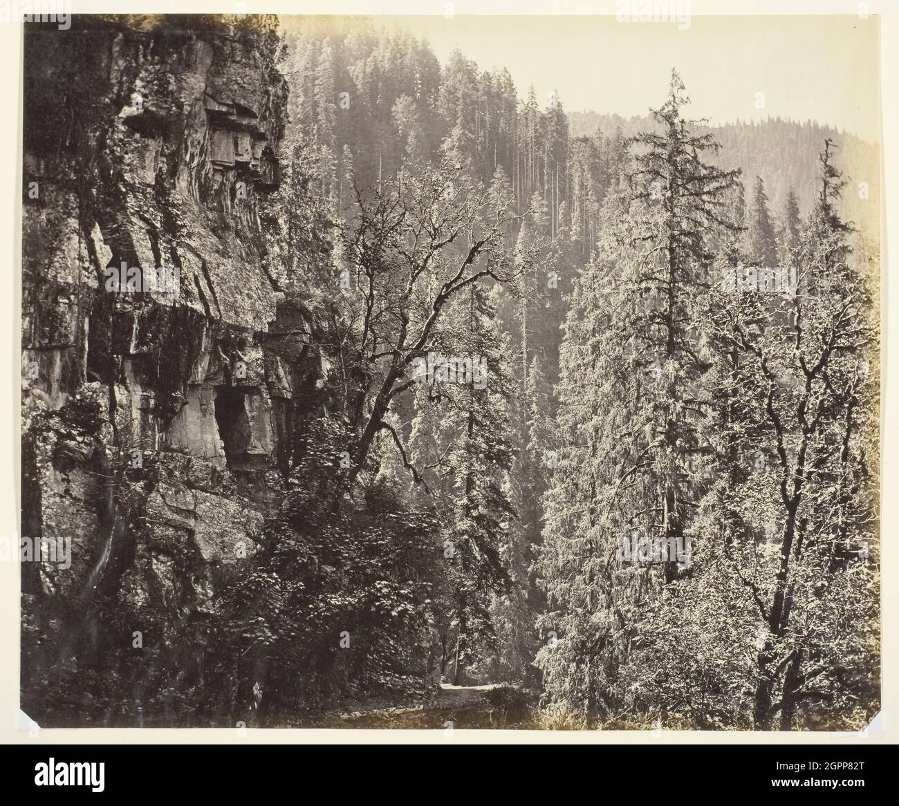 Untitled [cliffs and trees], c. 1865. [View in Narkunda Forest, Chini ...