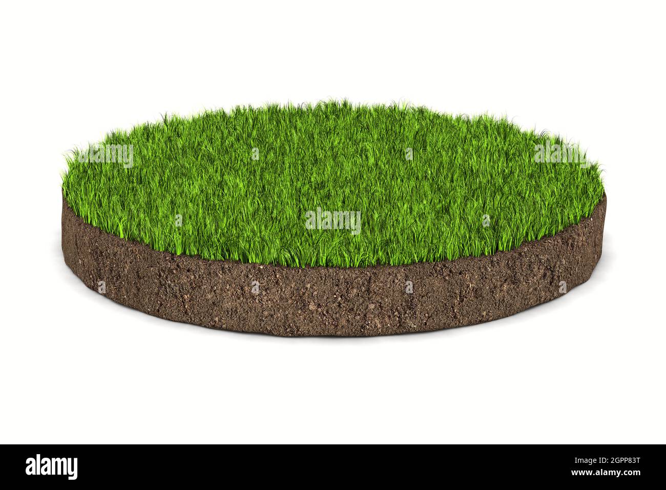 round soil ground with green grass on white background. Isolated 3D ...
