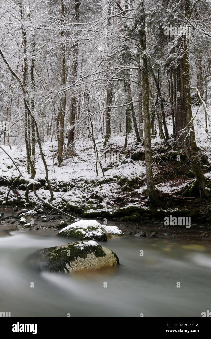 Motion winter scenery hi-res stock photography and images - Alamy
