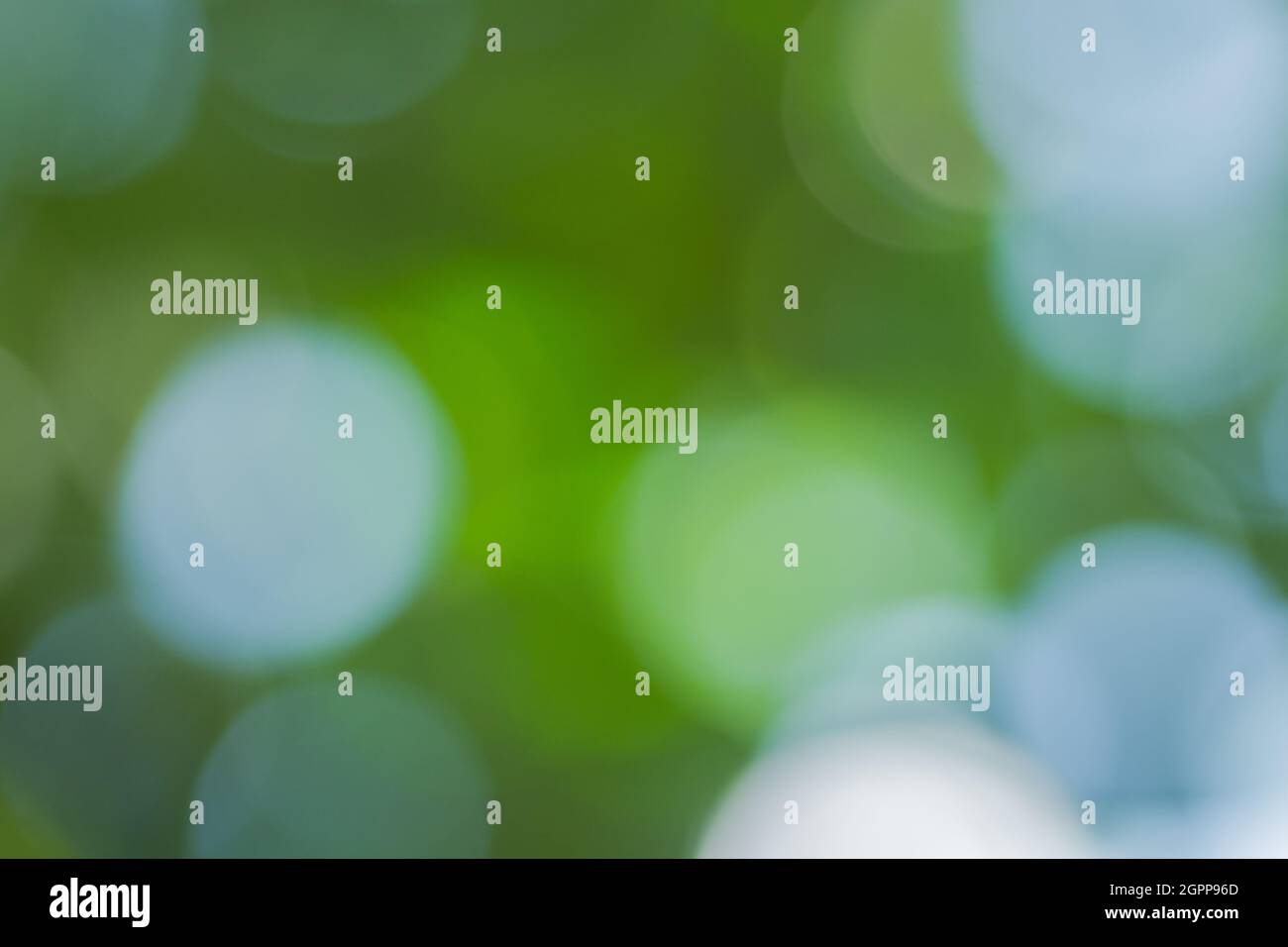 Green background bokeh Stock Photo - Alamy