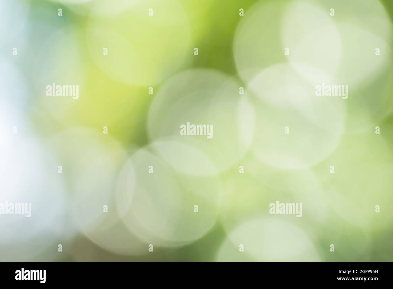 Green background bokeh Stock Photo - Alamy
