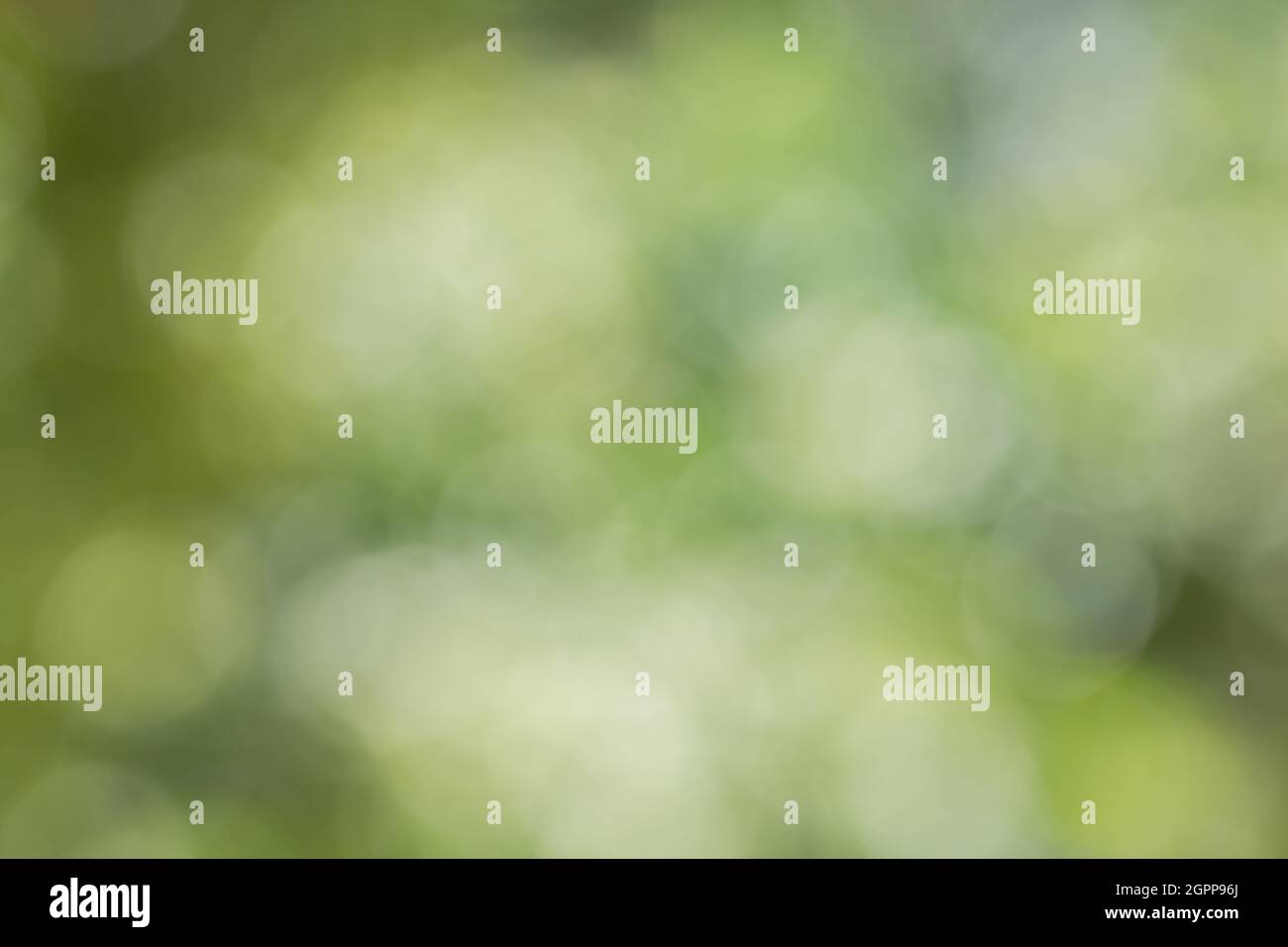 Green background bokeh Stock Photo - Alamy