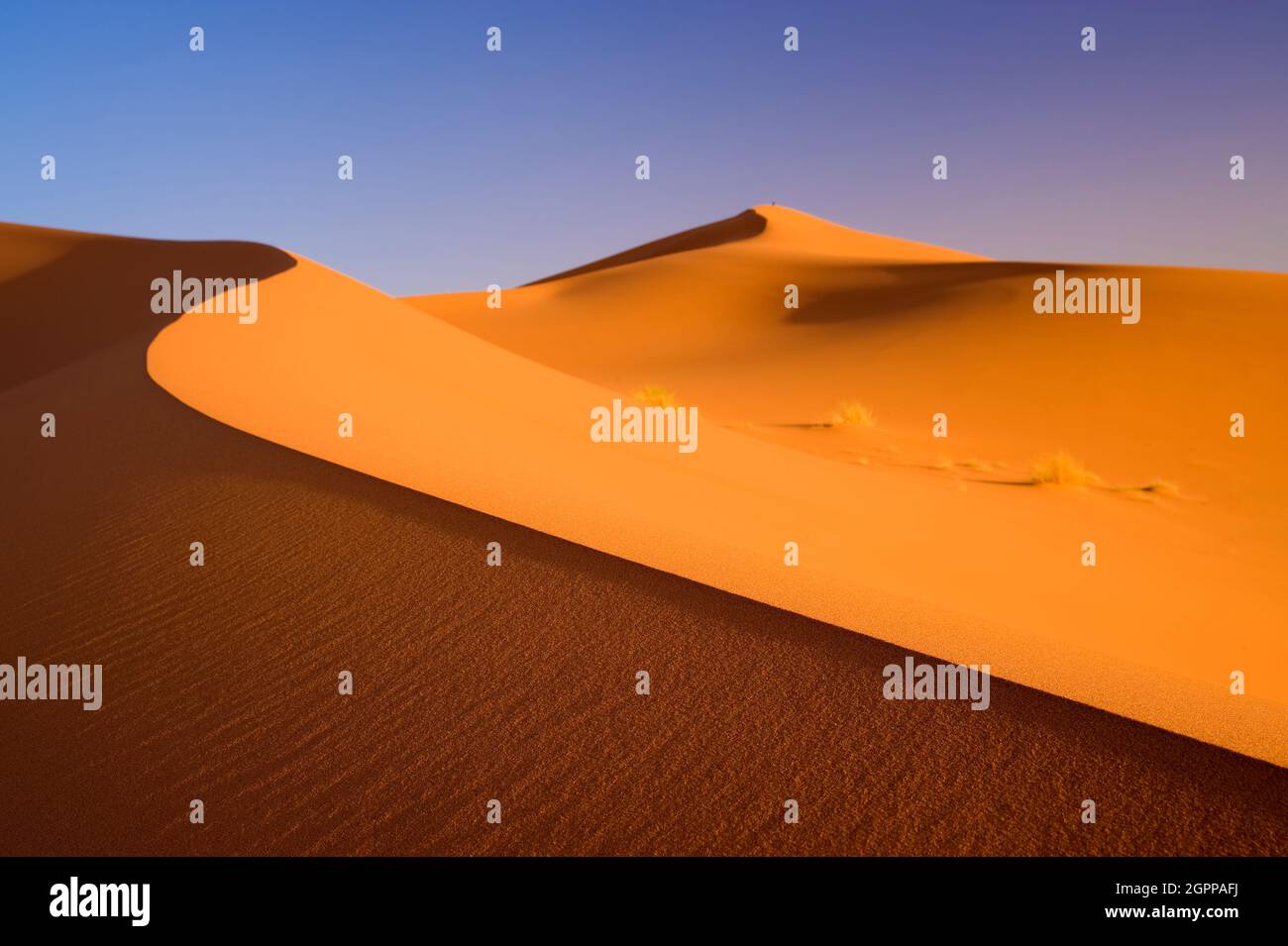 Morocco, Ziz Valley, Orange sands of Erg Chebbi on Sahara Desert Stock ...
