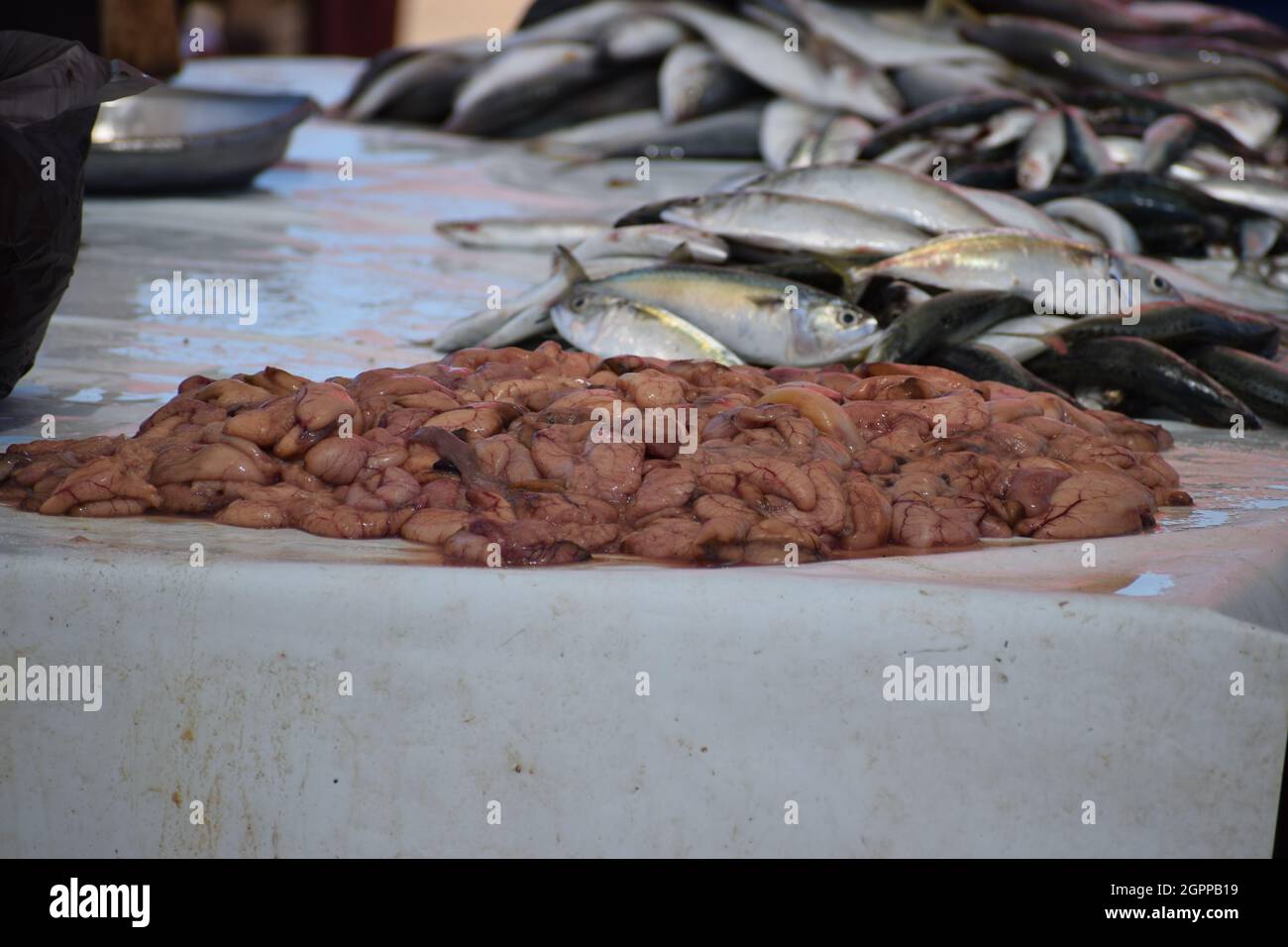 Fish selling on market Stock Photo - Alamy