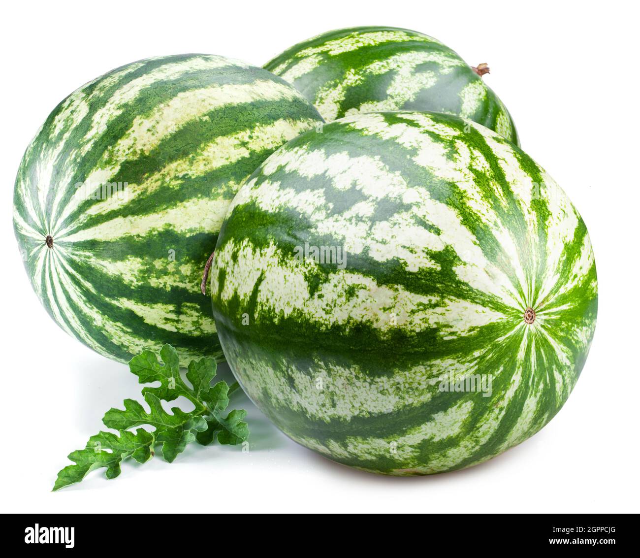 Watermelon leaves hi-res stock photography and images - Alamy