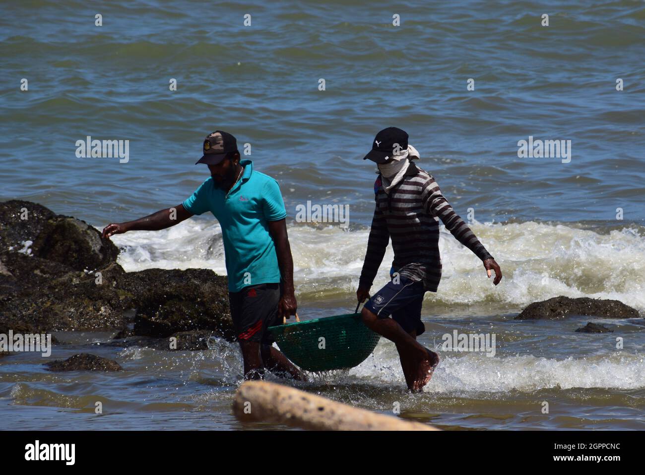 Fish carrying process on the beach land Stock Photo - Alamy