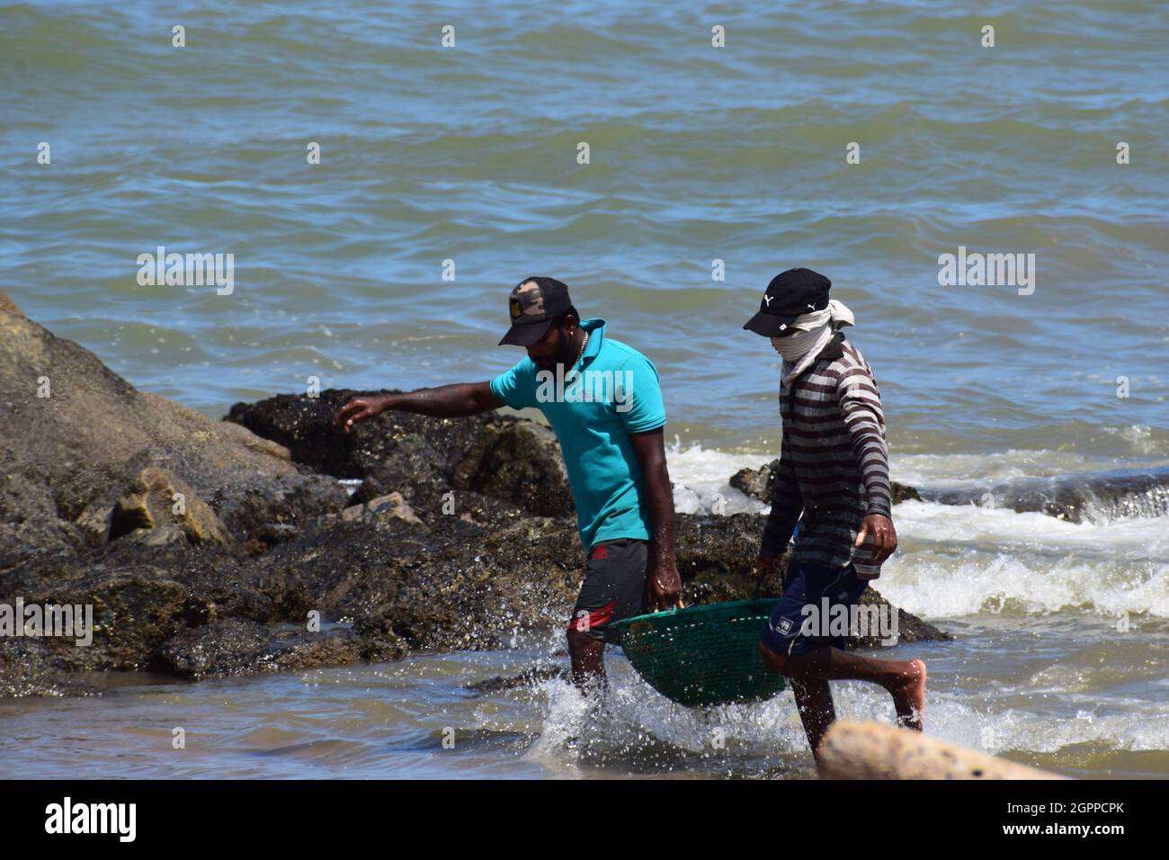 Fish carrying process on the beach land Stock Photo - Alamy