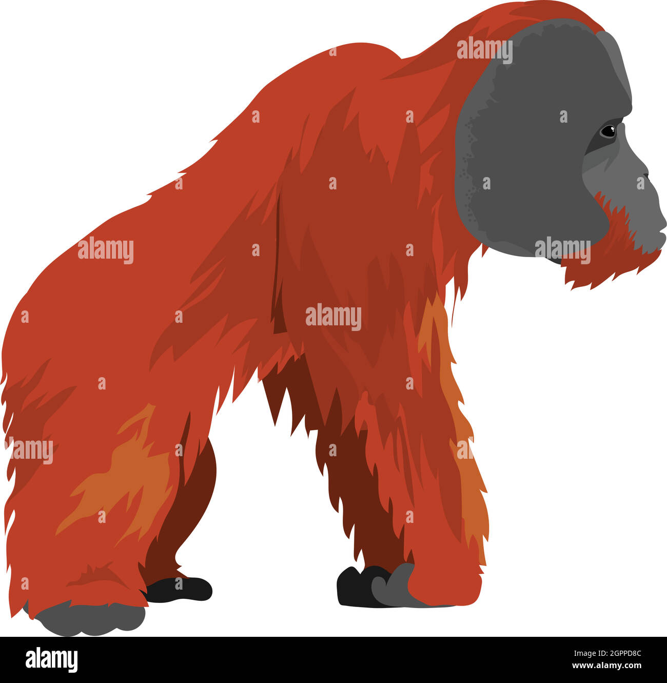 Borneo mammals Stock Vector Images - Alamy
