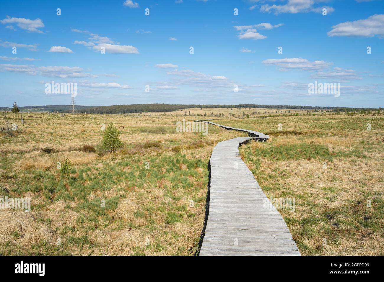 Hiking in hautes fagnes hi-res stock photography and images - Alamy