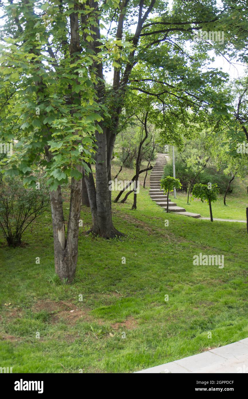 the stair winding through a quiet and calm park Stock Photo - Alamy