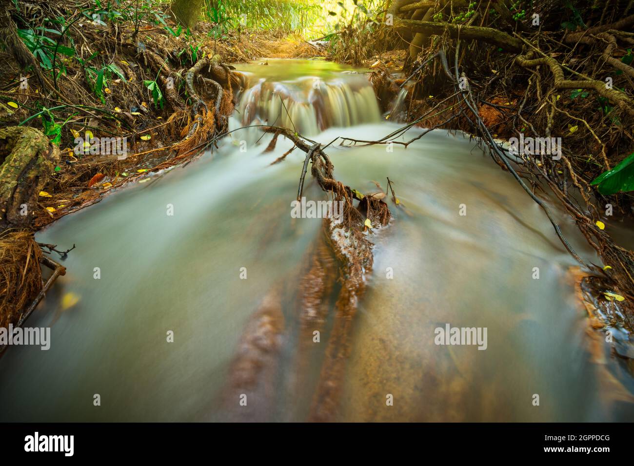 Waterfalls in the wild Stock Photo - Alamy