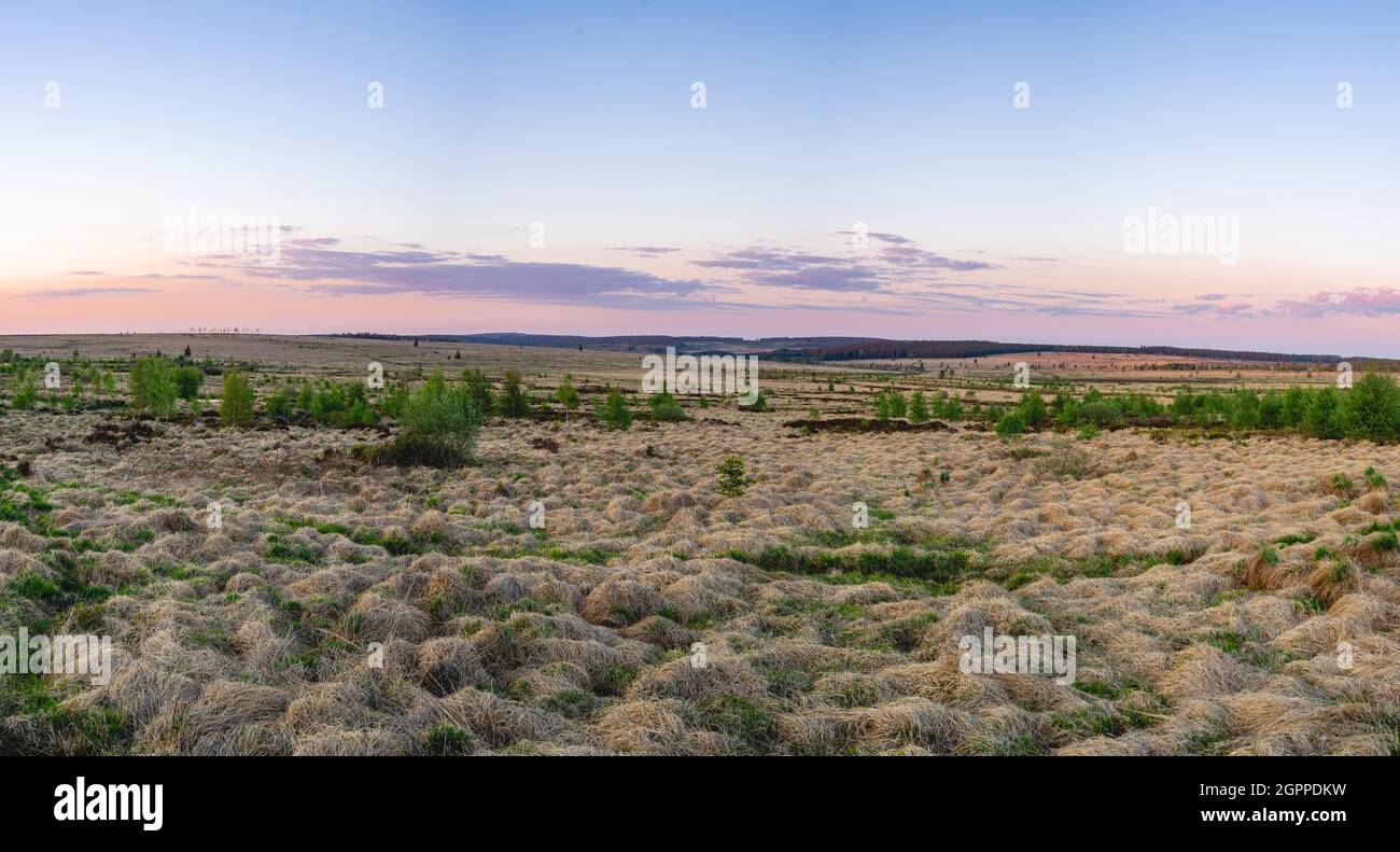 Les Haute Fagnes, Part of the Belgium Ardennes with burning trees Stock ...