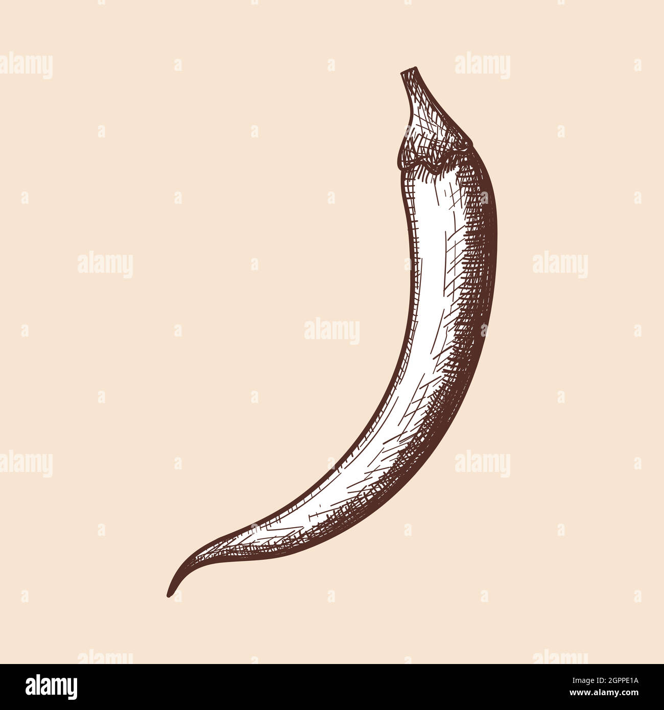 Cayenne pepper icon doodle Stock Vector Images - Alamy