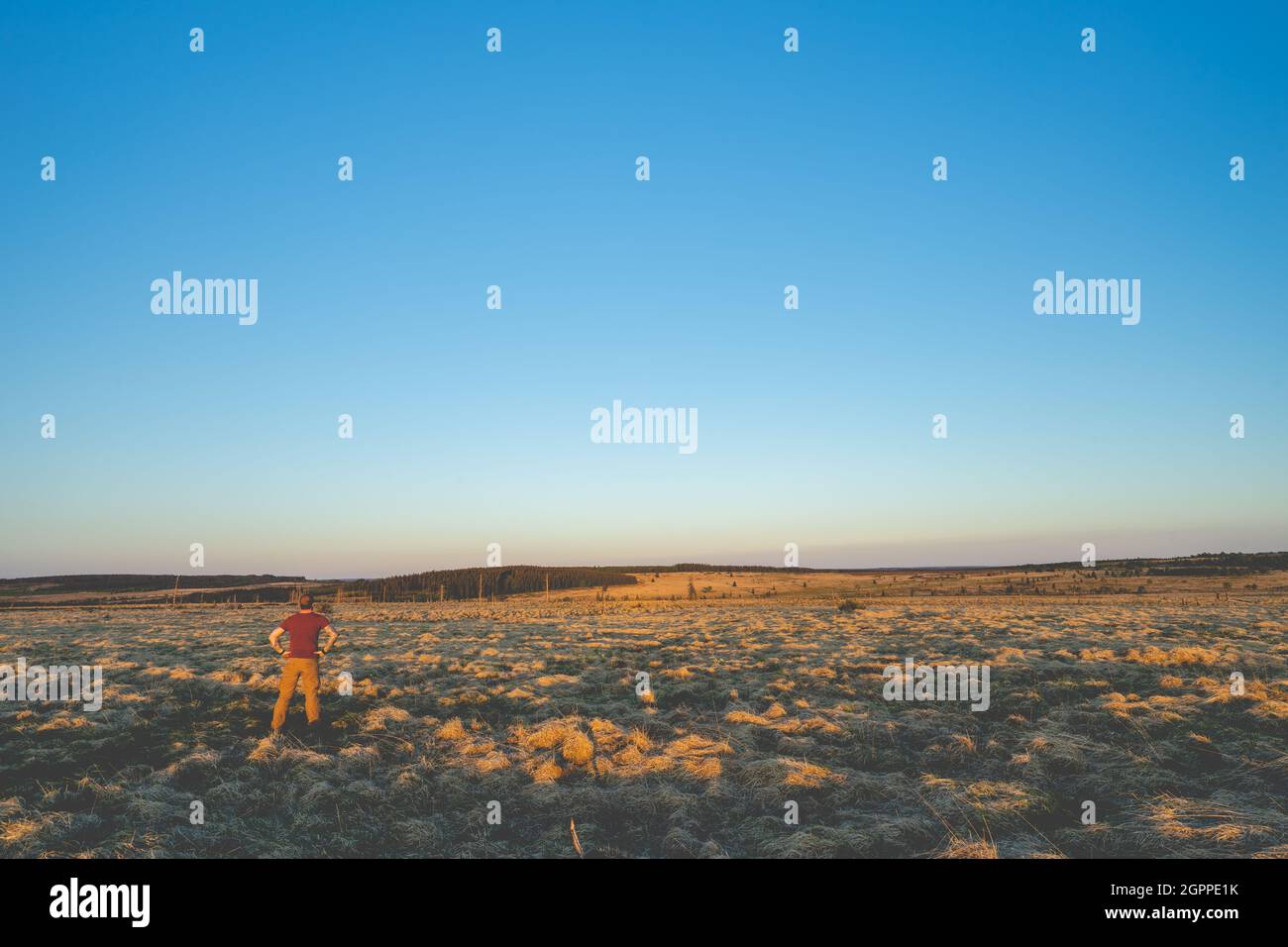 Haute fagnes trail hi-res stock photography and images - Alamy