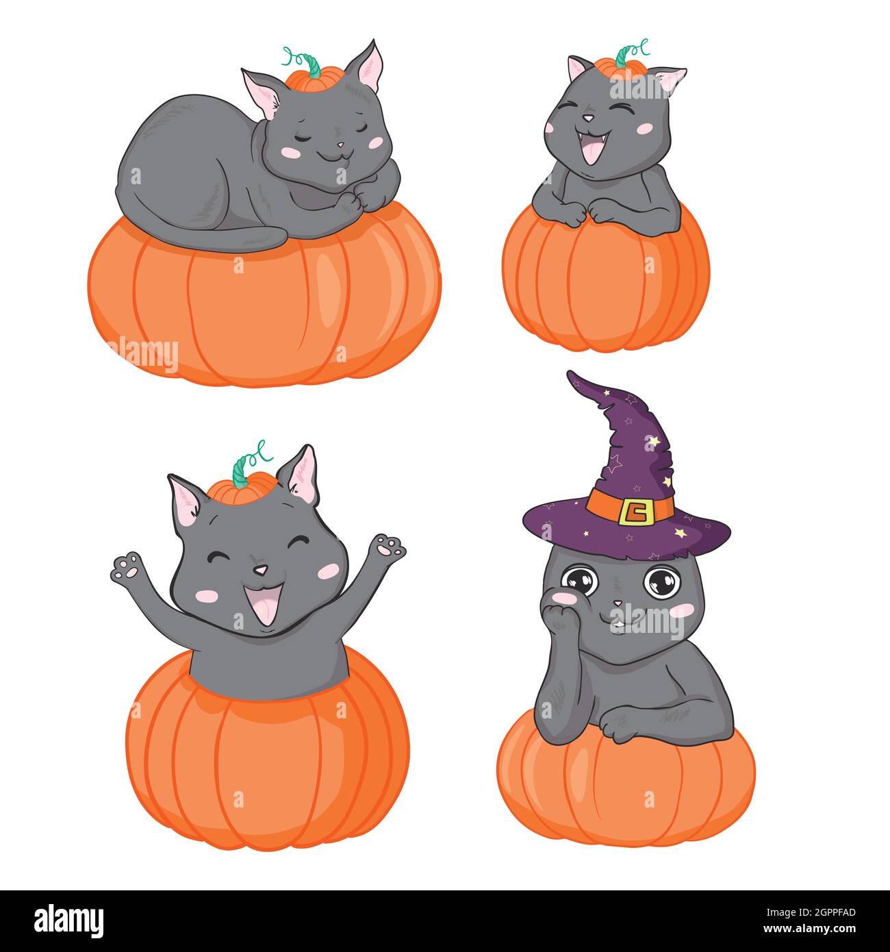 Black cat in a Halloween pumpkin and ghost. Background is separate ...