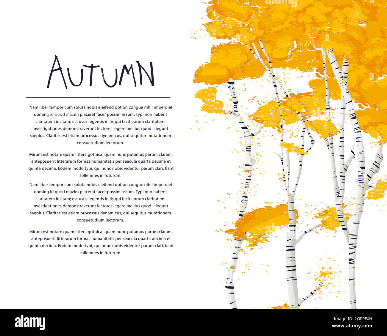 Autumn birch leaf Stock Vector Images - Alamy