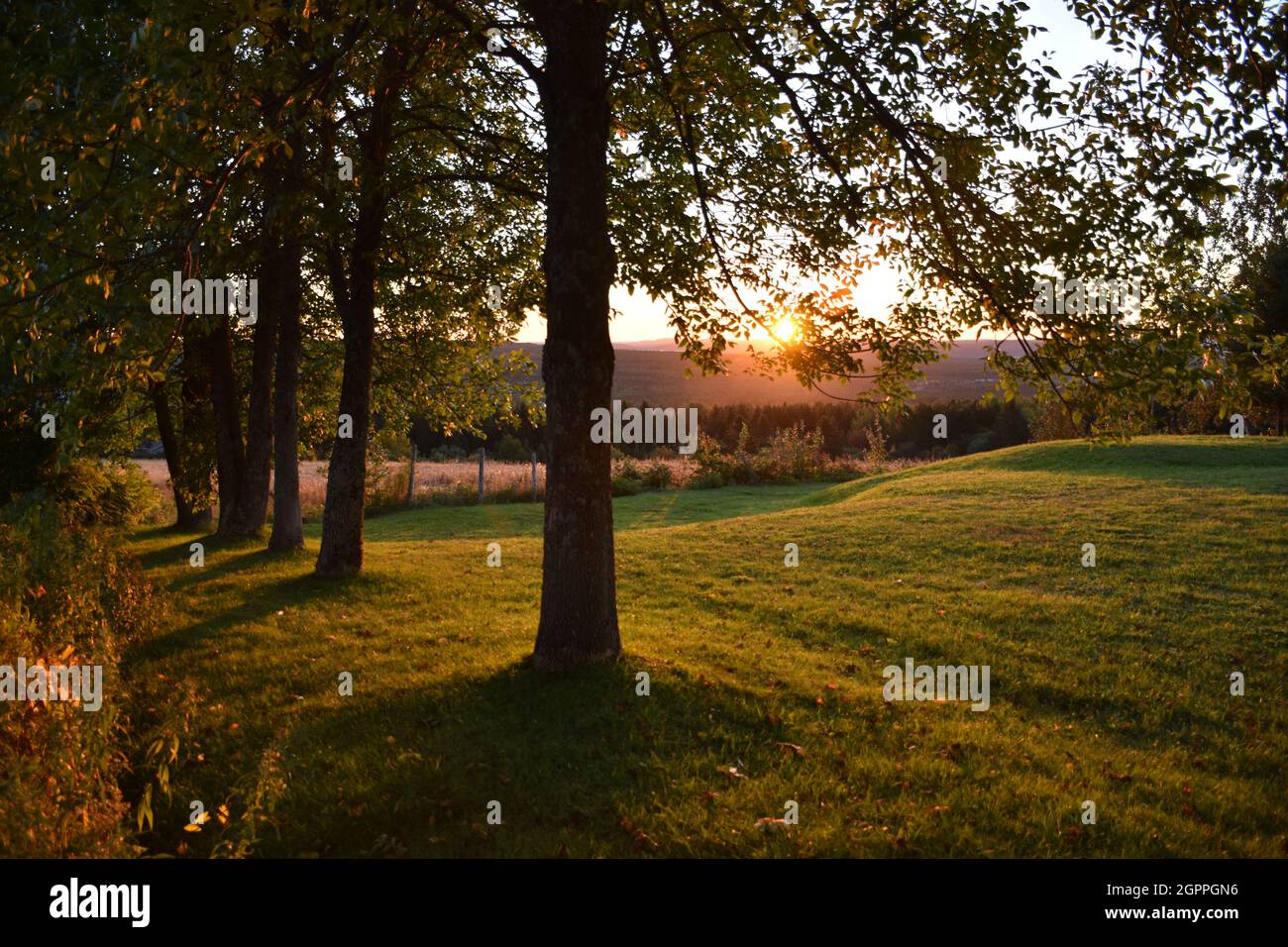 An autumn morning Stock Photo - Alamy