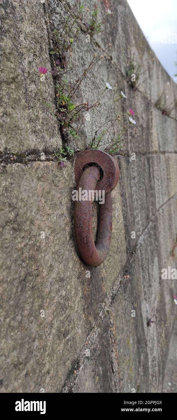 Old rusty harbor docking ring Stock Photo - Alamy