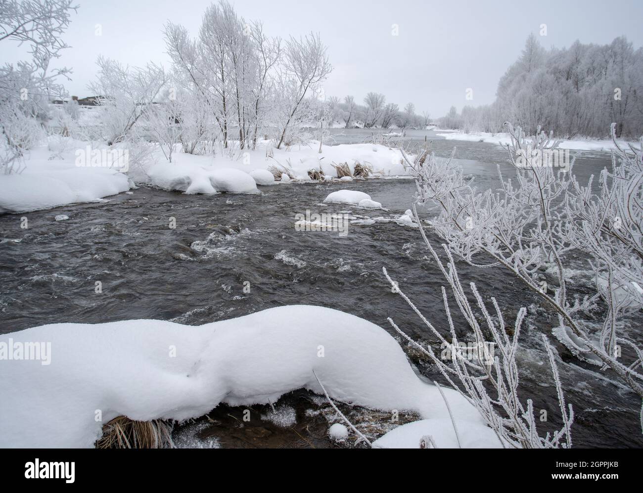 Winter landscape with stones and trees growing along the bank of an ...