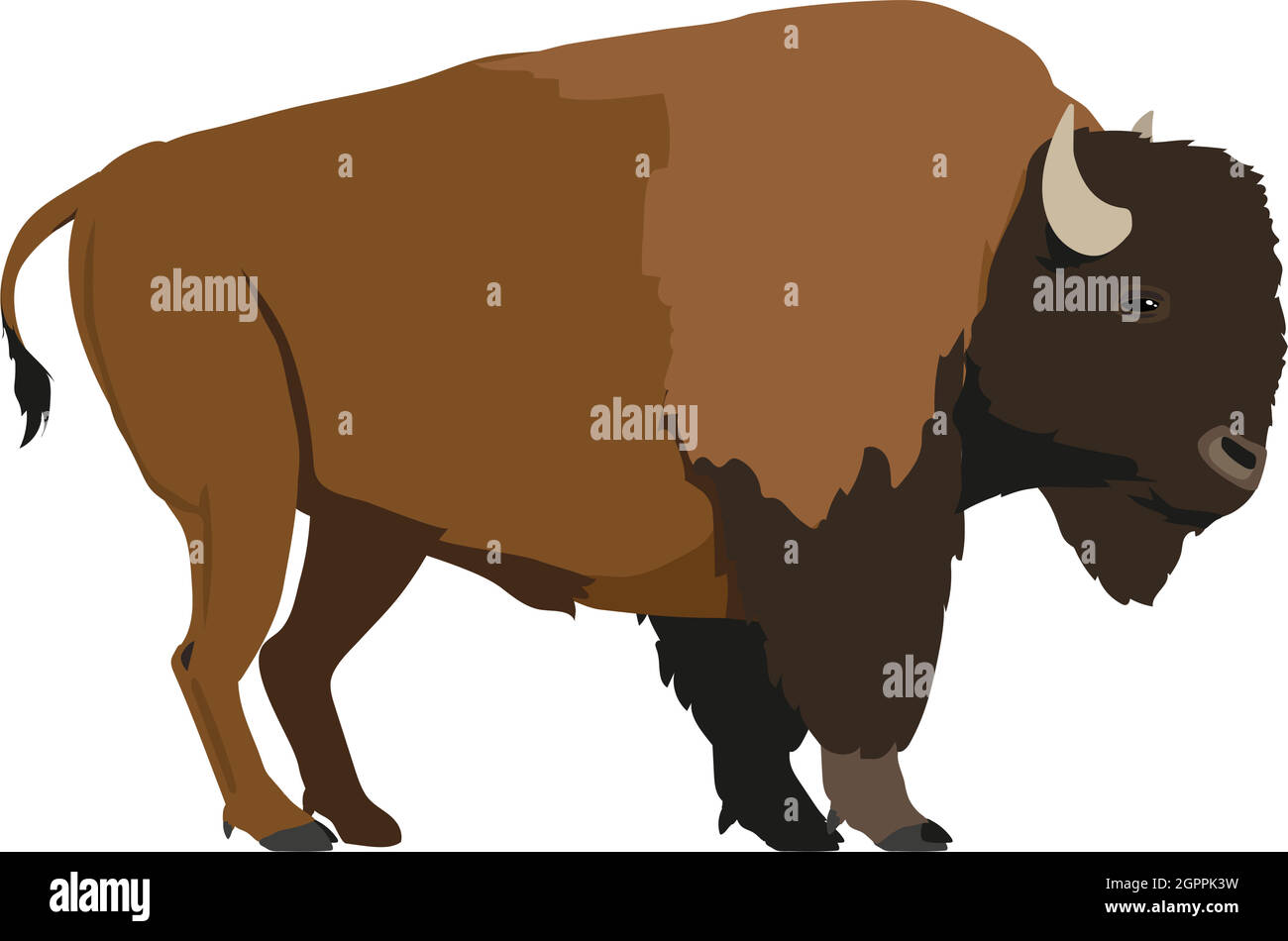 Bison bison buffalo Cut Out Stock Images & Pictures - Alamy