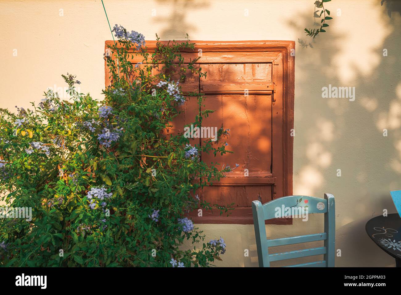 Wooden windows and flowers and chairs in the sun Stock Photo - Alamy