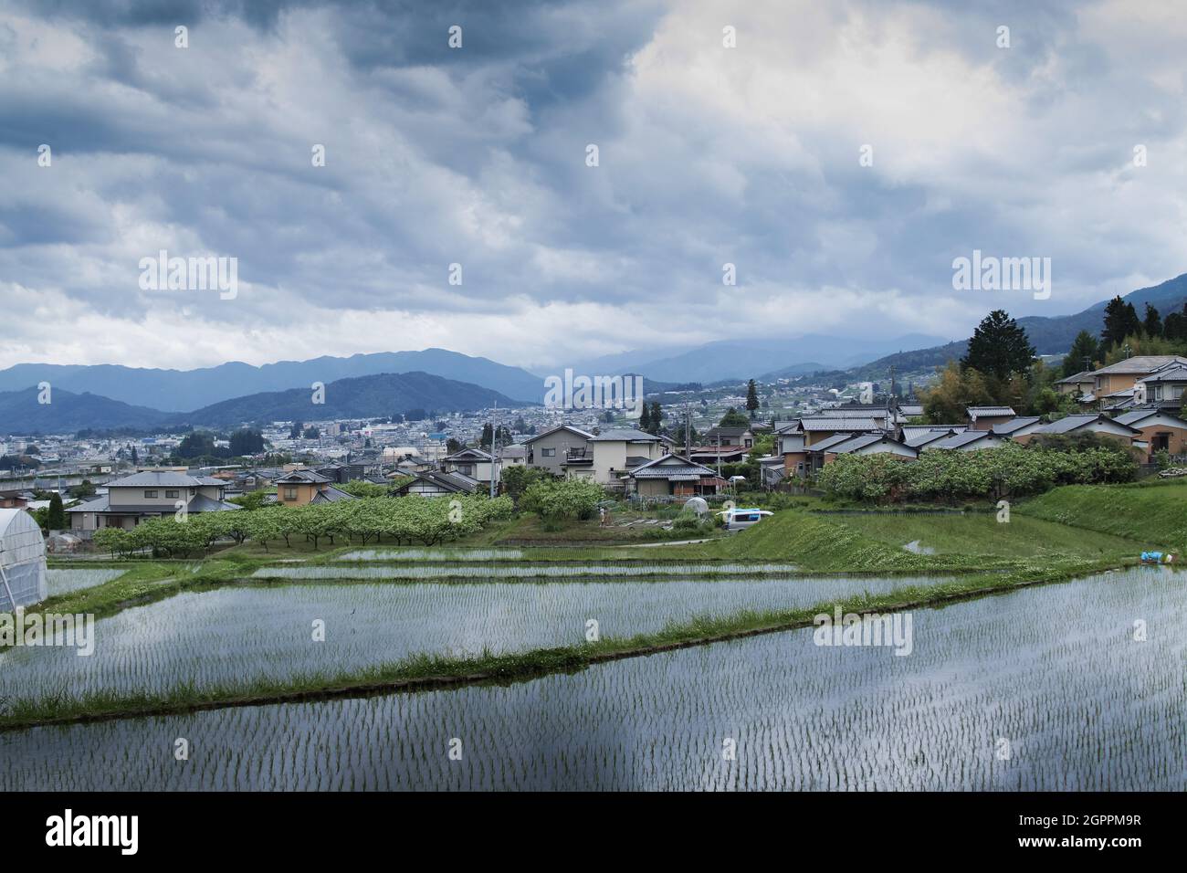 Iida, Nagano, Japan, 2021-07-09 , view of the rice fields in Iida city ...