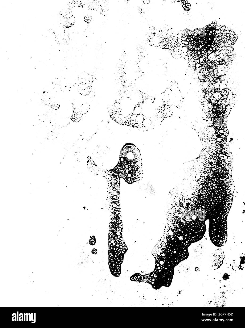 Grunge texture vector hi-res stock photography and images - Alamy
