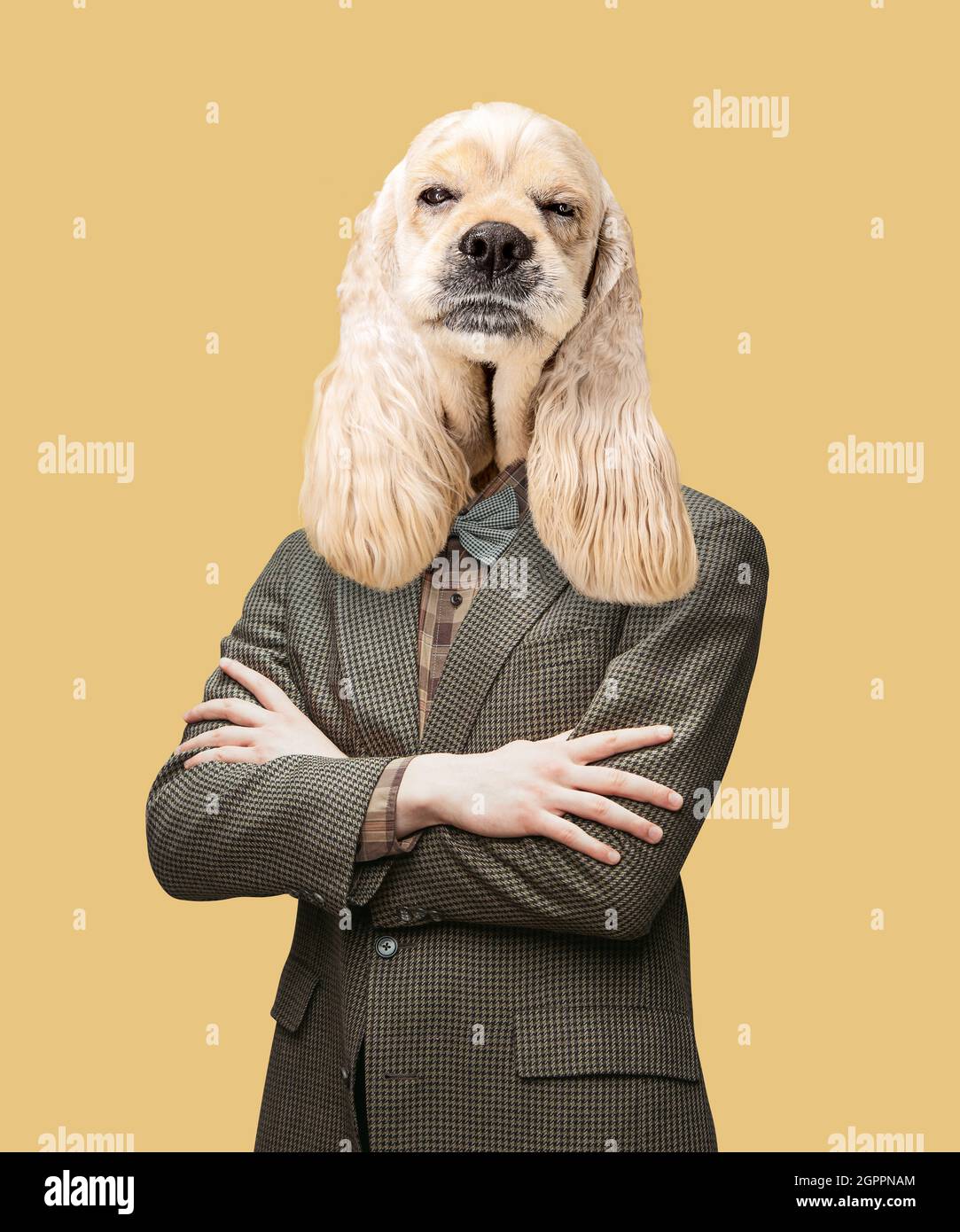 Contemporary artwork, conceptual collage. Man headed by dog head ...