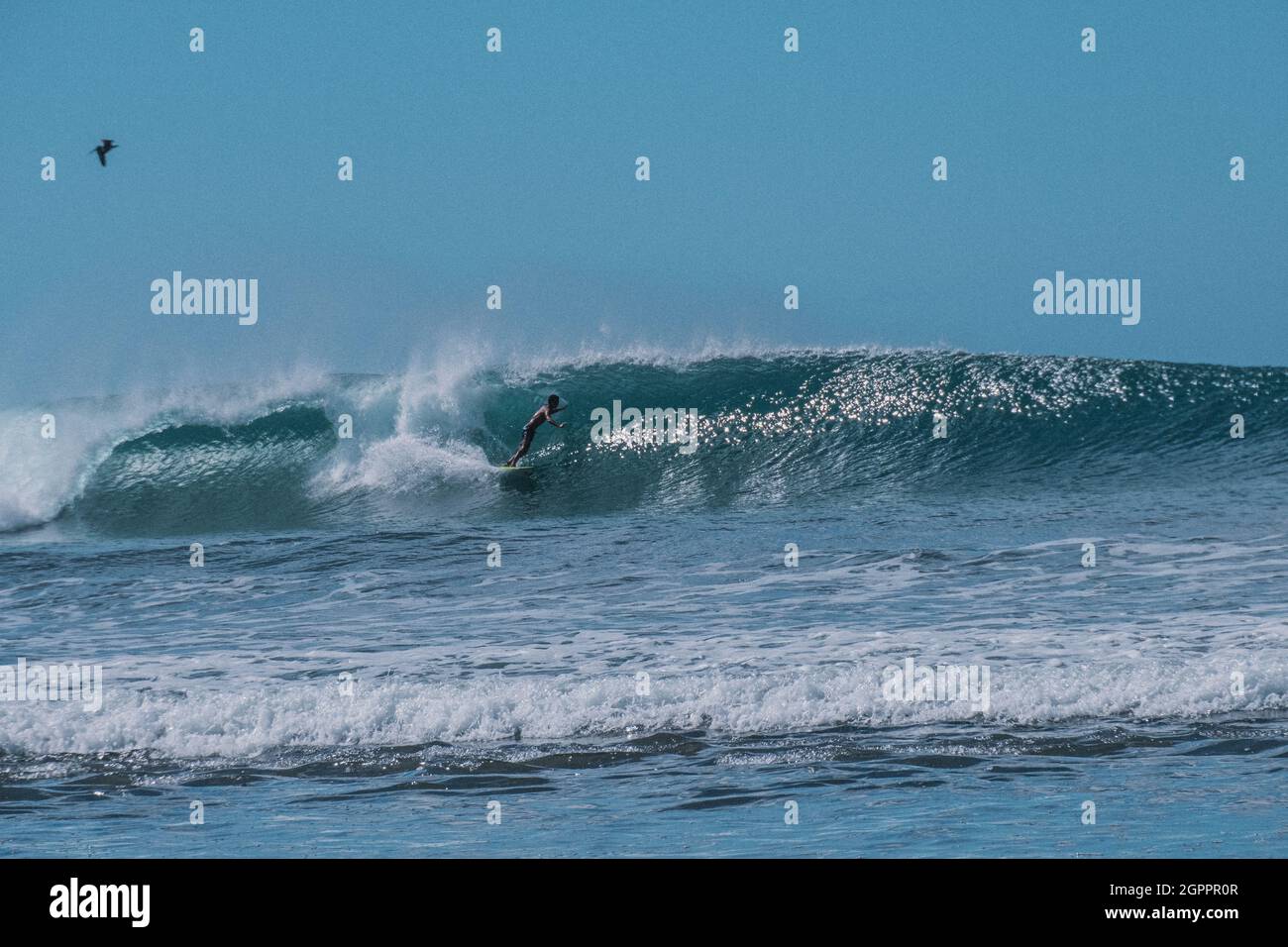 surf perfect spot barrel Stock Photo - Alamy