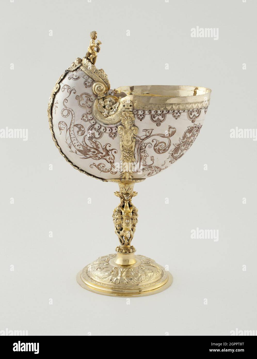 Nautilus shell cup hi-res stock photography and images - Alamy