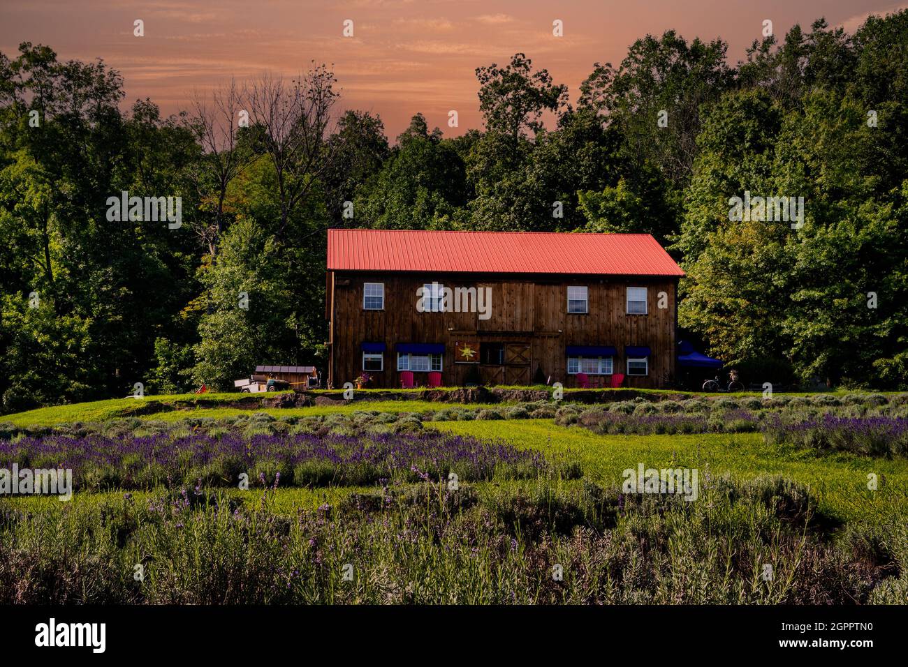 Vertical shot of a beautiful countryside view, barn with a red roof in ...