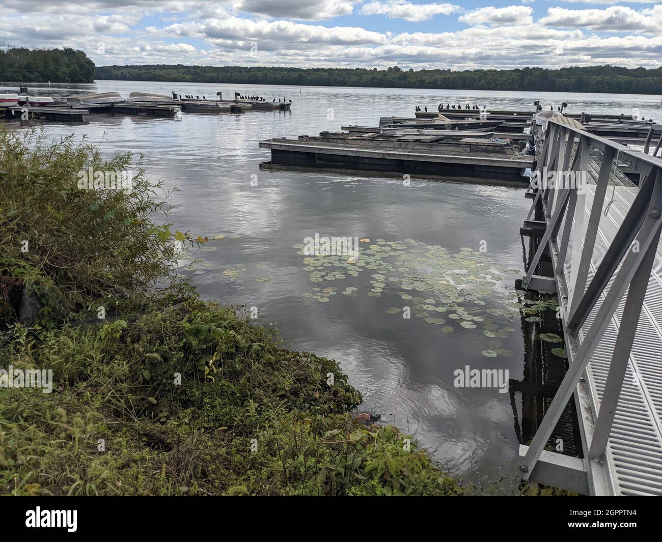 Vertical view of a river, boats Stock Photo - Alamy