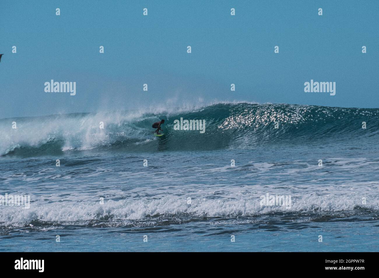 surf perfect spot barrel Stock Photo - Alamy