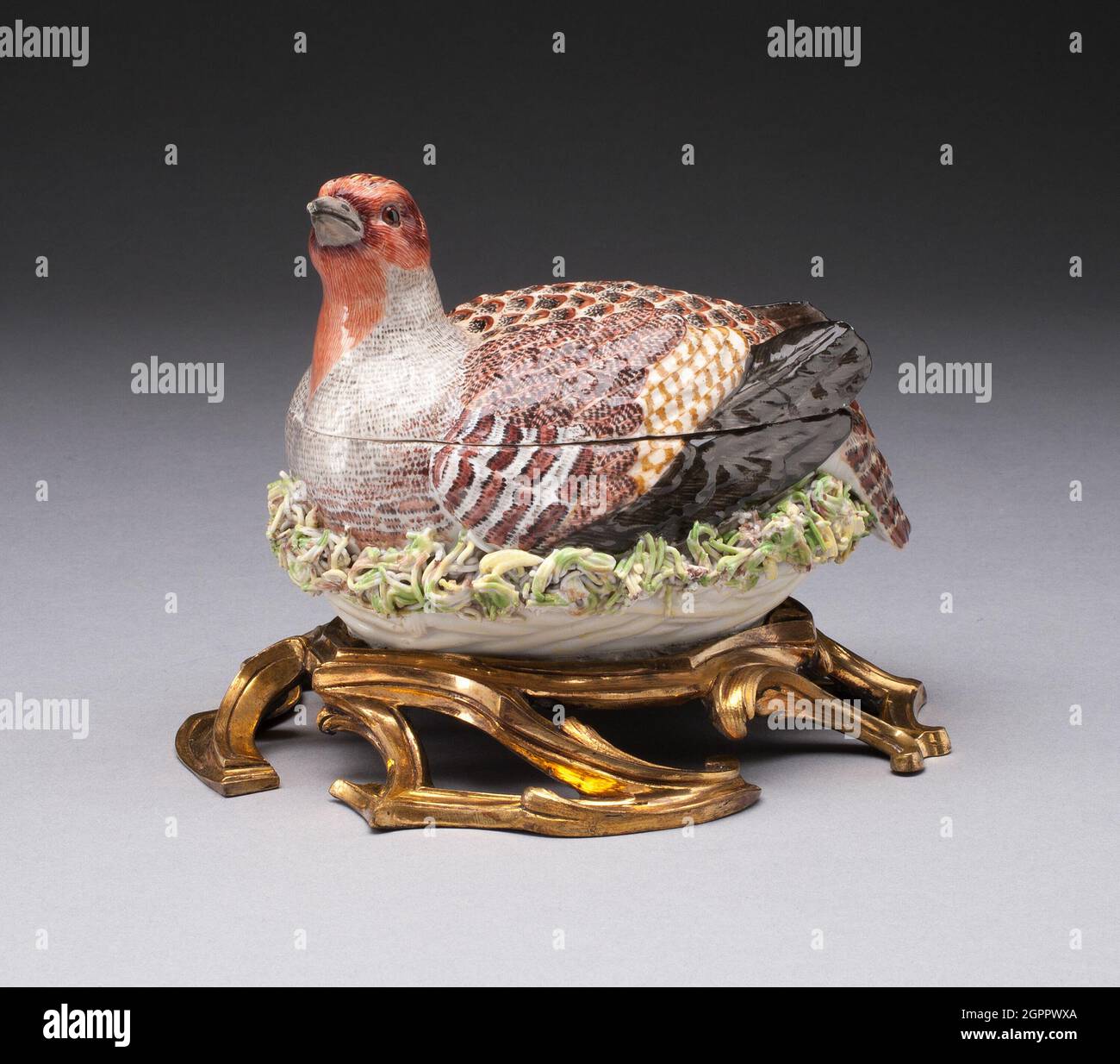 Gold partridge hi-res stock photography and images - Alamy