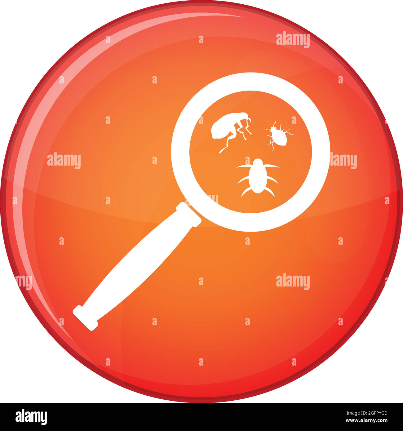 Macro insects Stock Vector Images - Alamy