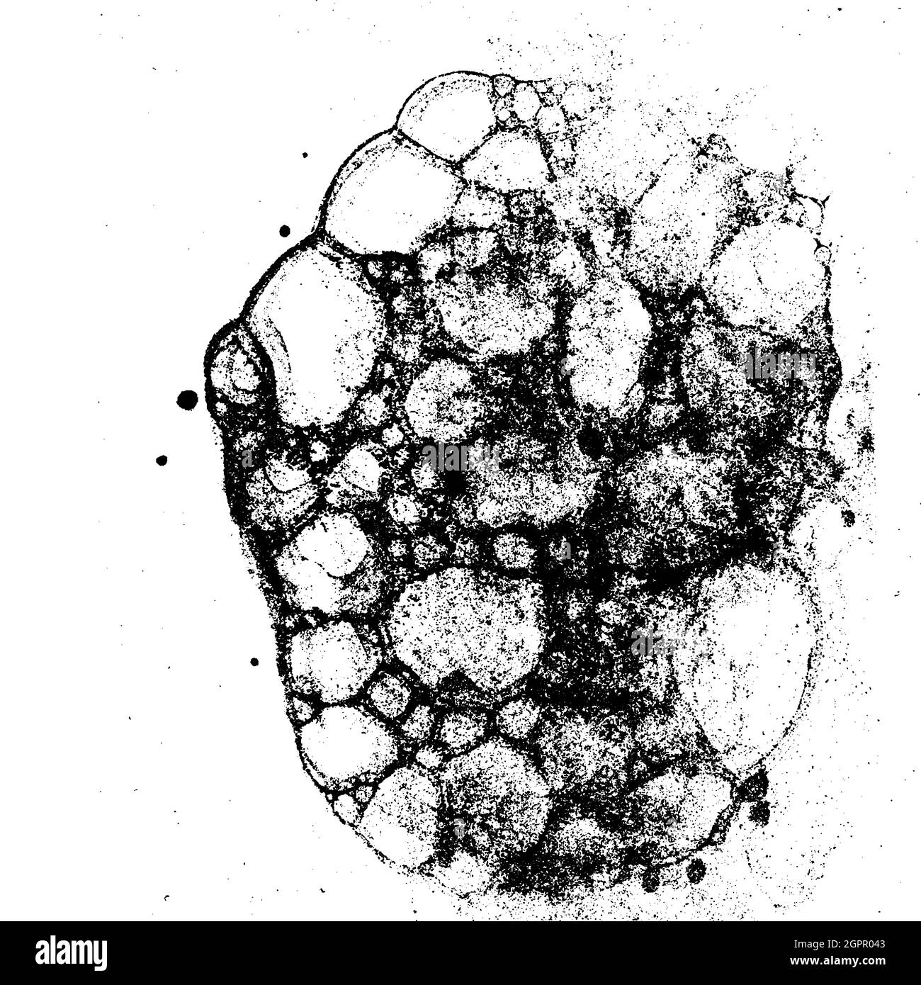 Grunge texture vector hi-res stock photography and images - Alamy