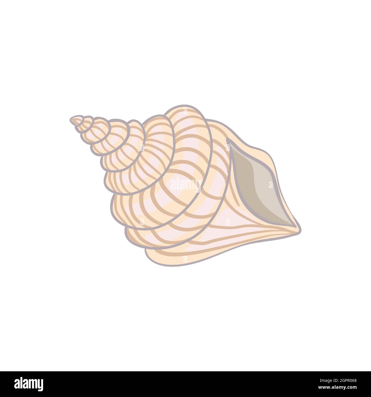 Cute sea shell on a white background Vector illustration, hand-drawn ...