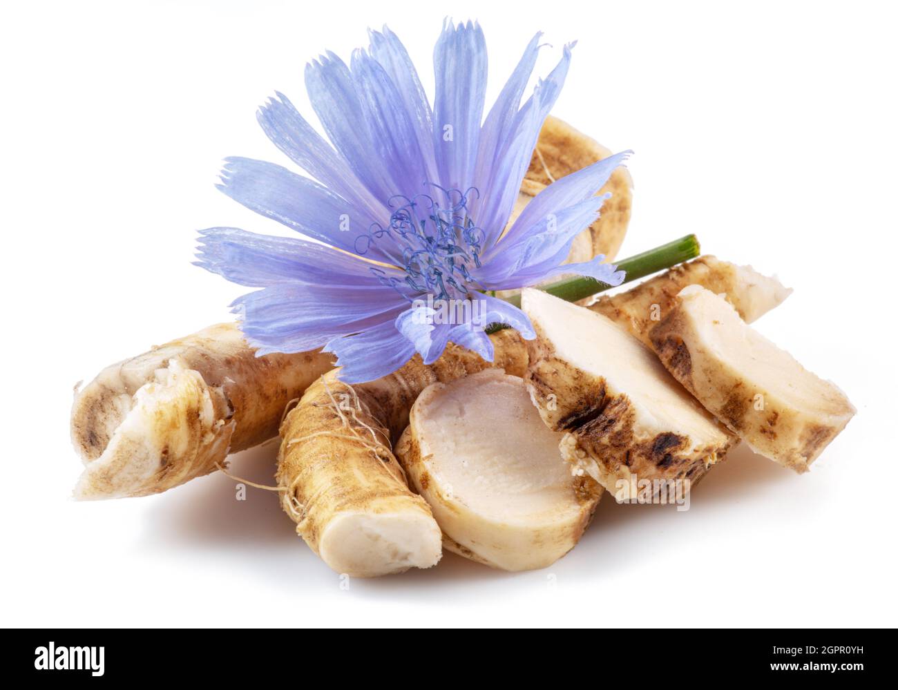 Chicory flowers and roots close up on the white background Stock Photo ...
