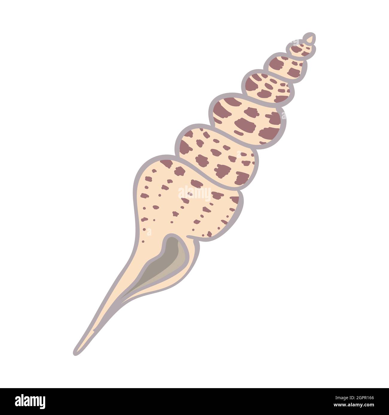 Cute sea shell on a white background Vector illustration, hand-drawn ...