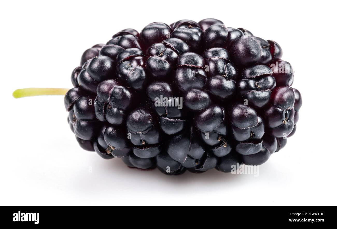 Black mulberry fruit hi-res stock photography and images - Alamy