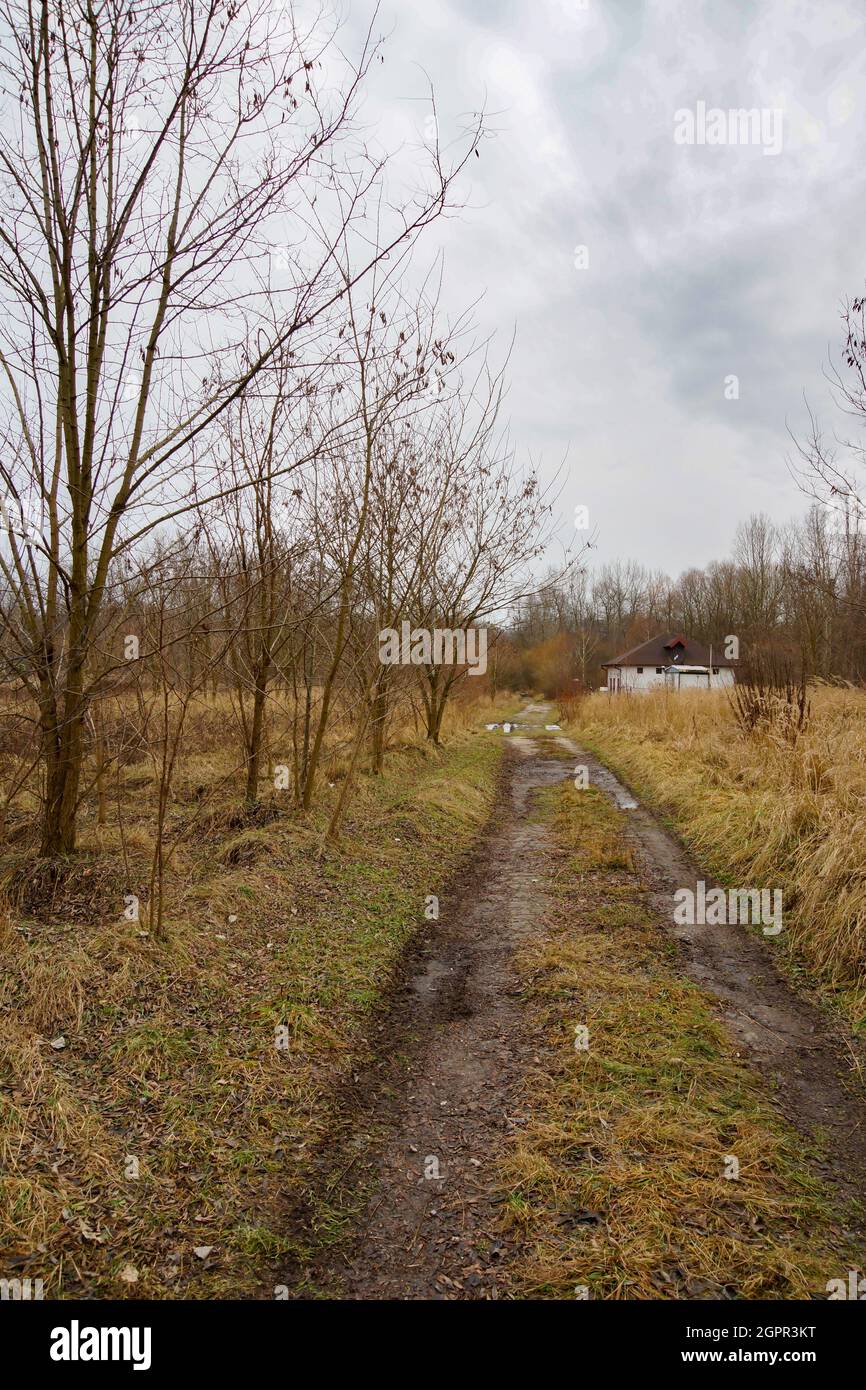 Beautiful view of a long pathway surrounded by greens and trees Stock ...