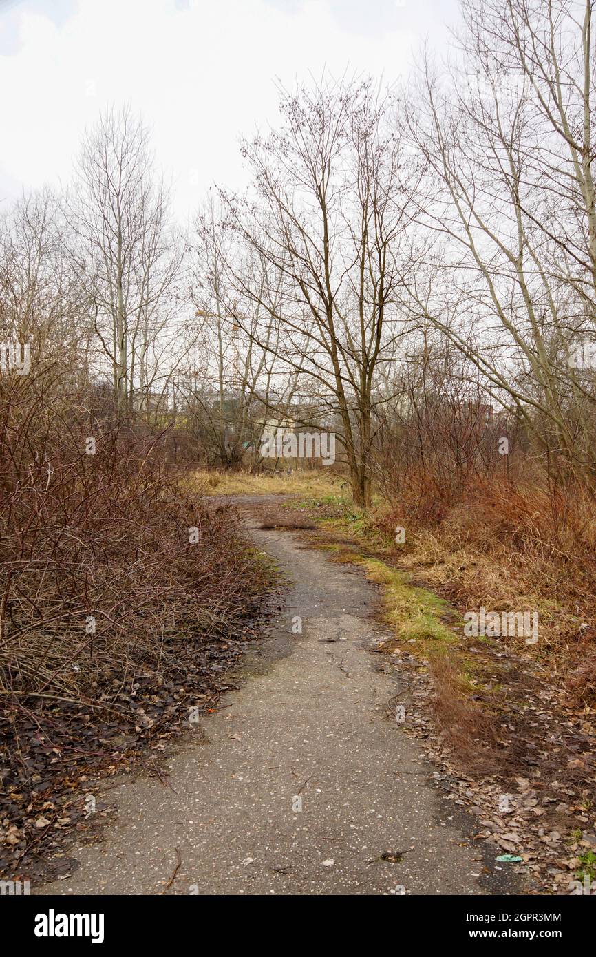 Beautiful view of a long pathway surrounded by greens and trees Stock ...