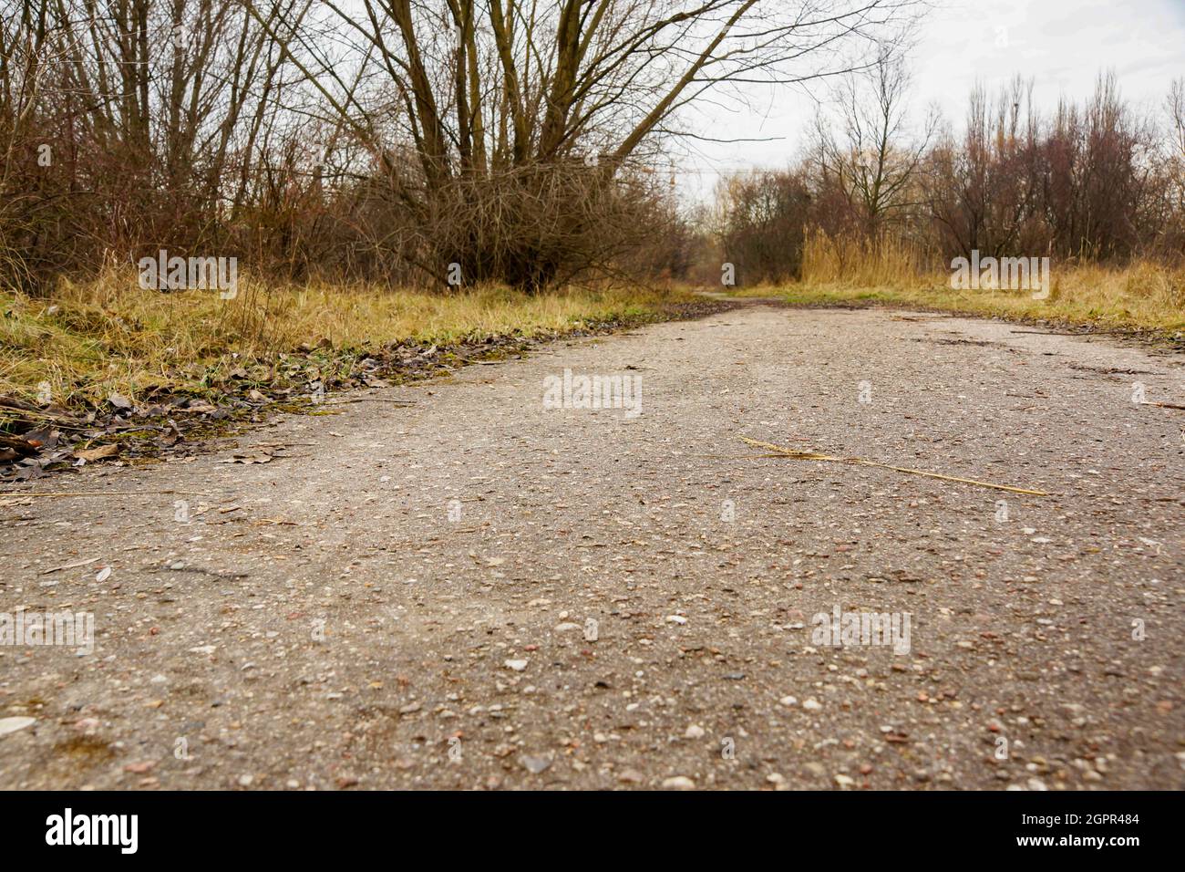Beautiful view of a long pathway surrounded by greens and trees Stock ...
