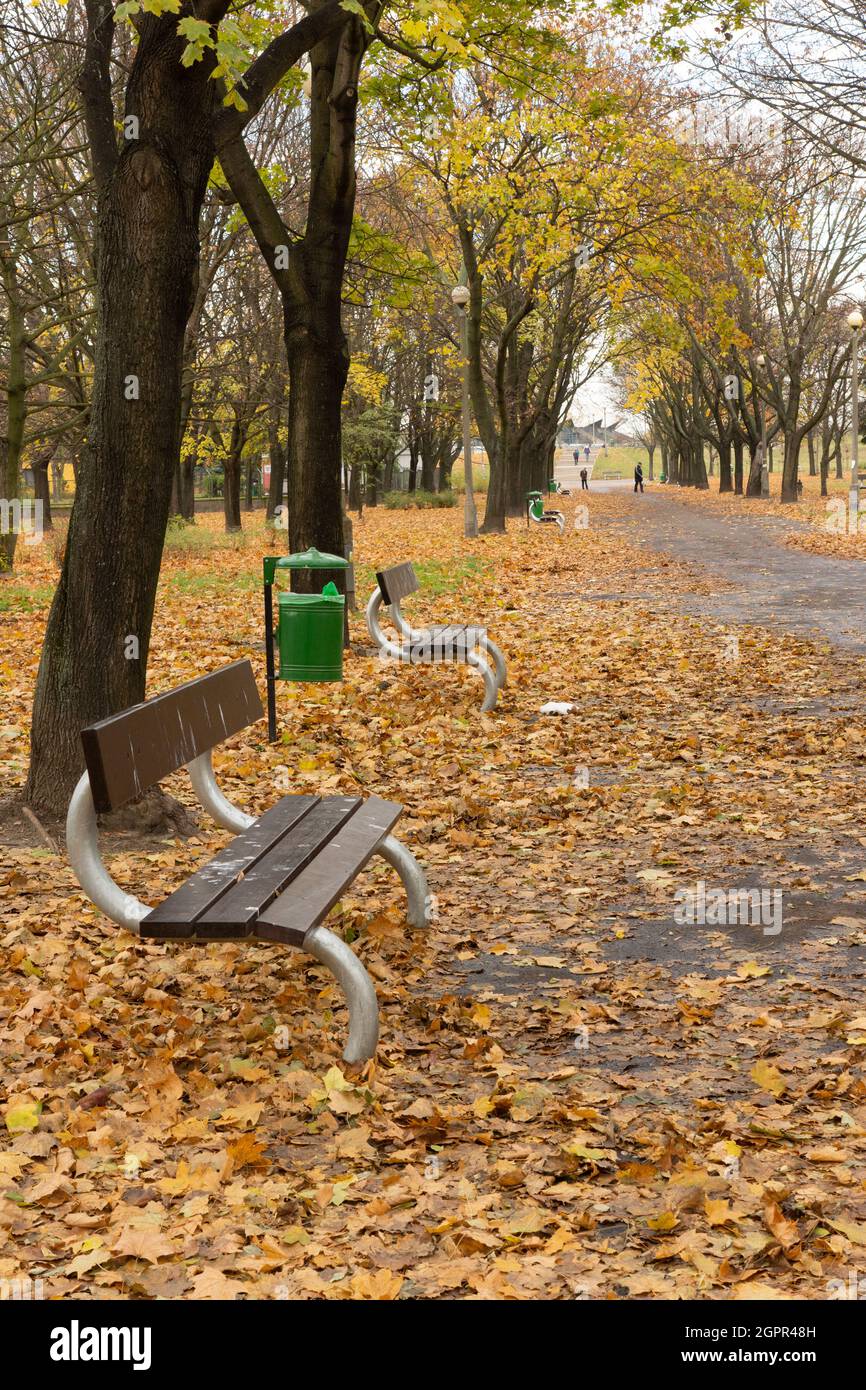 Beautiful view of a long pathway surrounded by greens and trees Stock ...
